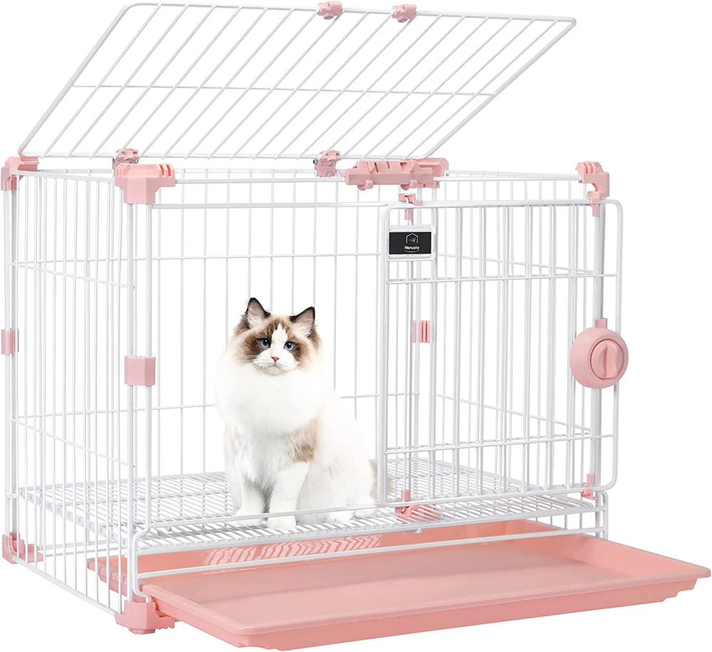 First Class: The Puurfect CAT Crate for Your Travel Buddy