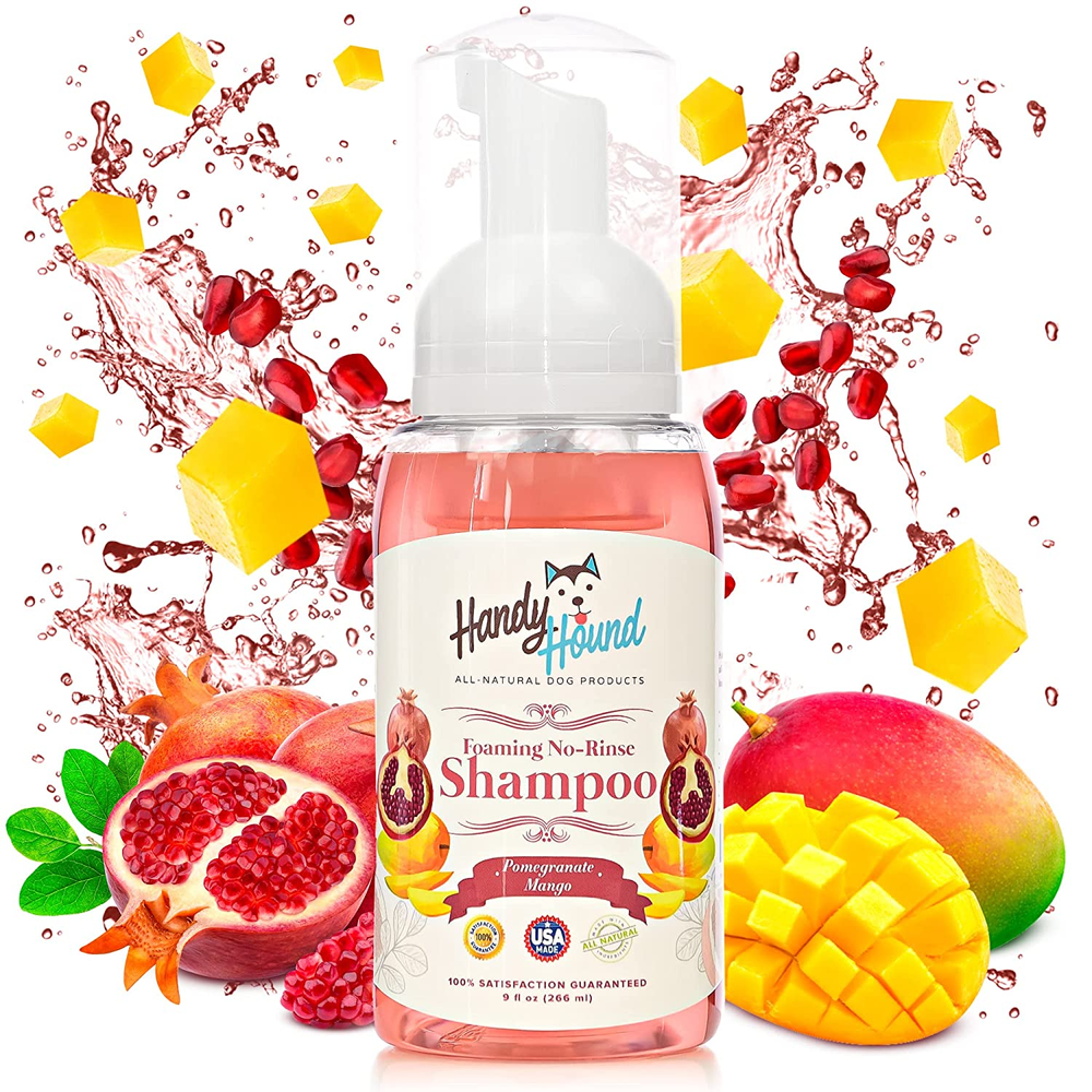 Clean Pup, No Suds! The Magic of Dry Shampoo for DOGS!