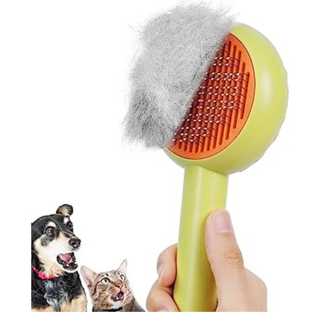 Purr-fect Grooming: The Cat Brush For The Glamour Kitty