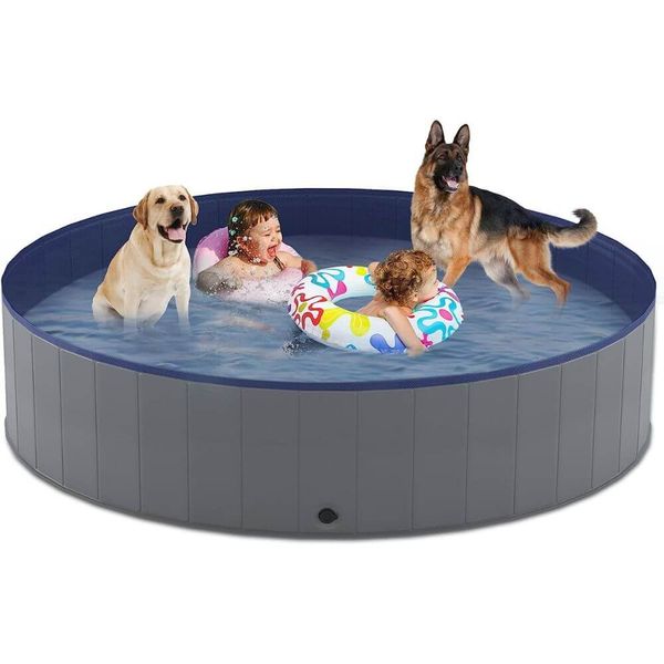 Making a Splash: The Best Dog Swimming Pool For Summer!