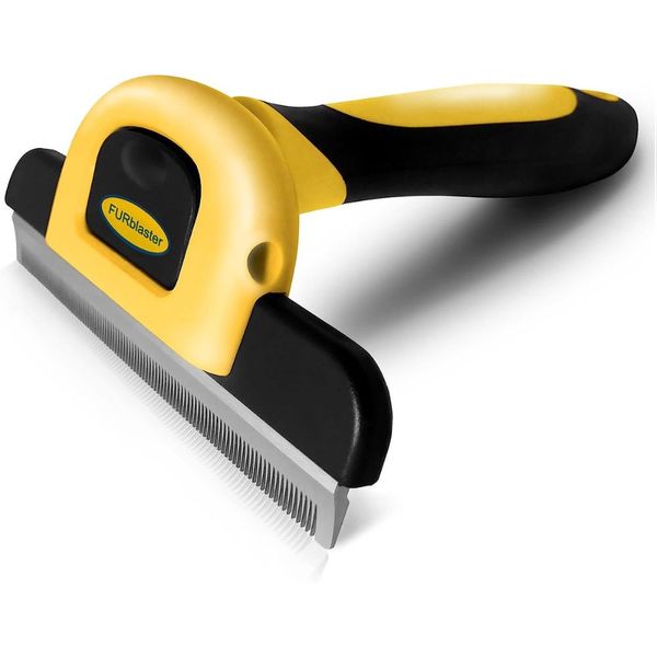 5 Dog Brushes to Keep Your Pooch Primped & Pampered!