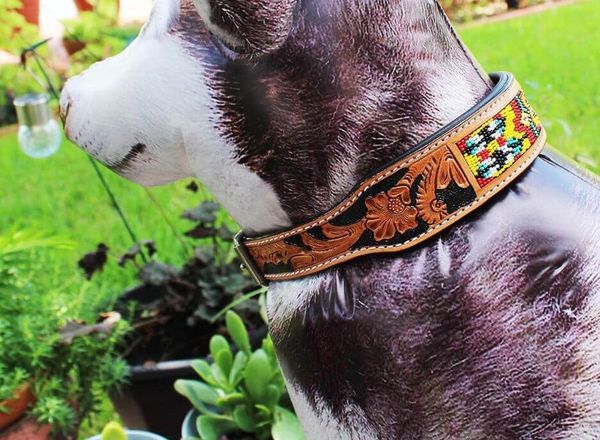 Unleash Your Pet's Style & Flair with A Beaded Dog Collar!