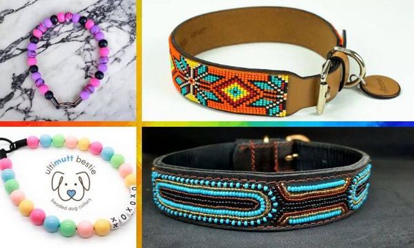 Unleash Your Pet's Style & Flair with A Beaded Dog Collar!