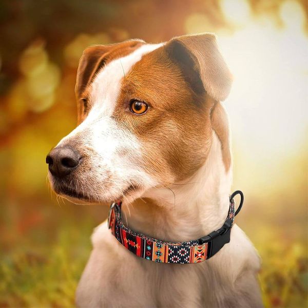 Unleash the Spirit of the Aztecs: The Bark-tastic Aztec Dog Collar