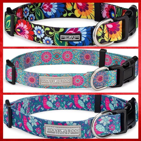Flower Power: A Guide to the Best Flower Dog Collar!