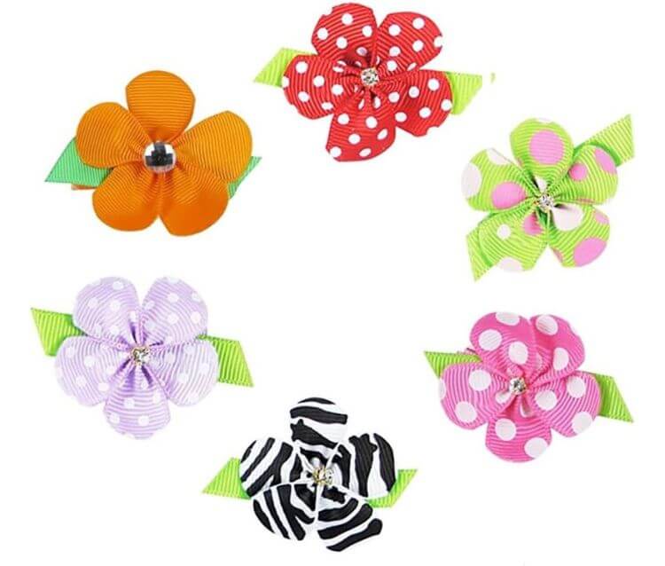 Flower Power: A Guide to the Best Flower Dog Collar!