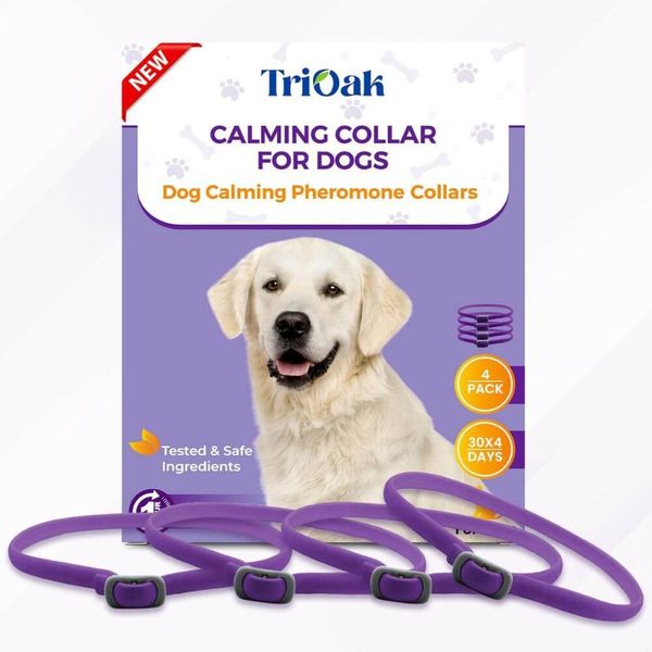 Anxious Pup? The Power of Calming Collars for Dogs