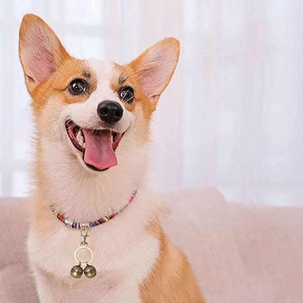 Discover the Best Dog Collar Bells: Safety, Style, & Sound